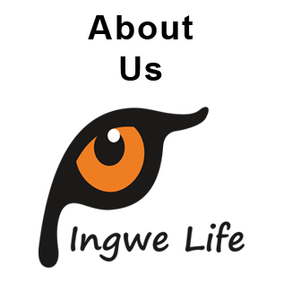 Ingwe Life - About Us